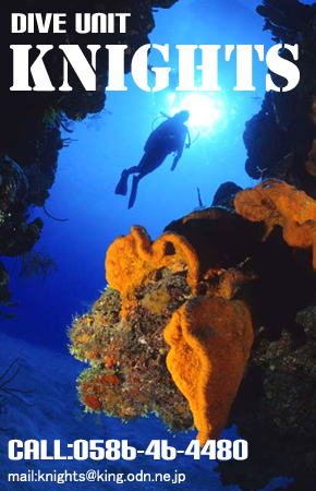 dive unit knights